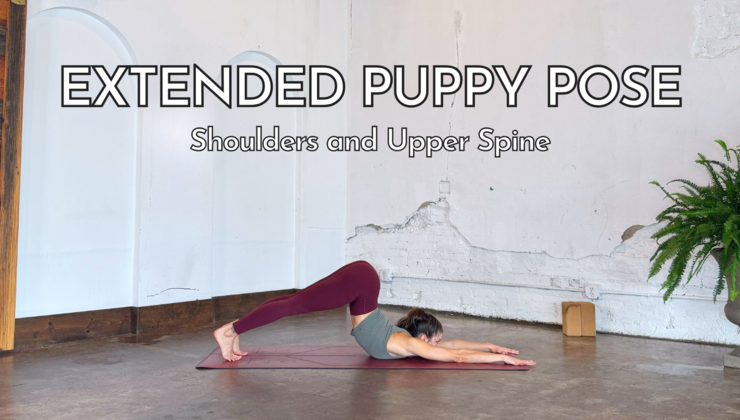 Extended Puppy Pose - Shoulders and Spine
