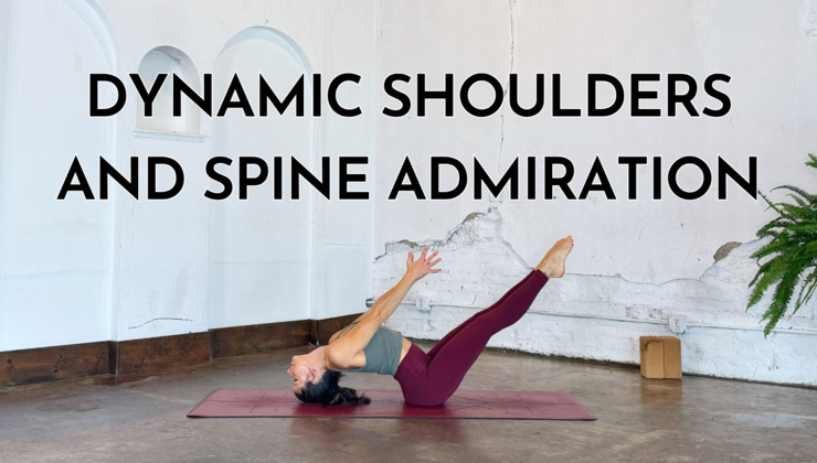Dynamic Shoulders And Spine Admiration