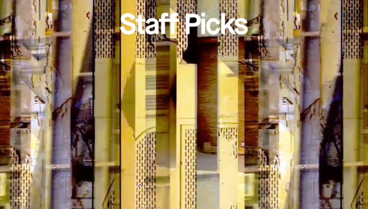 Staff Picks