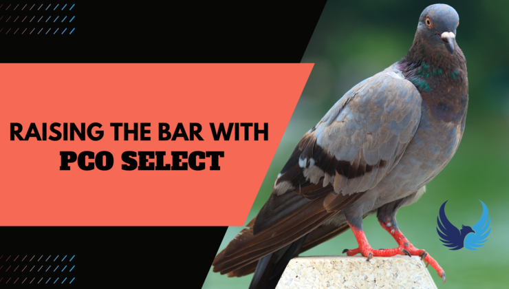 Raising the Bar with PCO Select