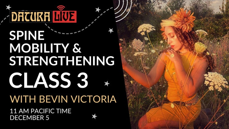Spine Mobility: Day 3 with Bevin Victoria - December 5