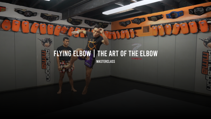 Flying Elbow - The Art Of The Elbow