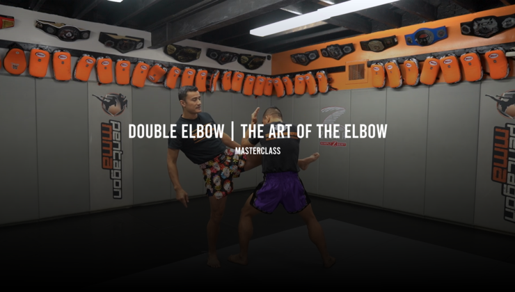 Double Elbow - The Art Of The Elbow