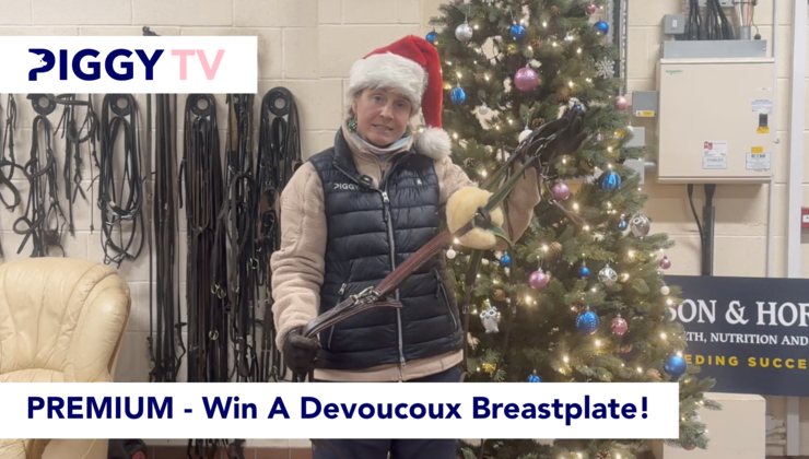Win A Devoucoux Breastplate! | Piggy TV