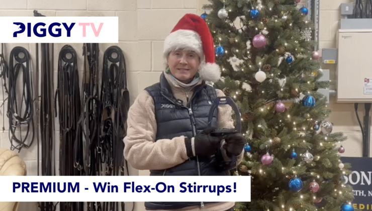 Win Flex-On Stirrups! | Piggy TV