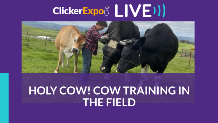 Holy Cow! Cow Training in the Field - Sarah Owings, Ken Ramirez, Emelie ...