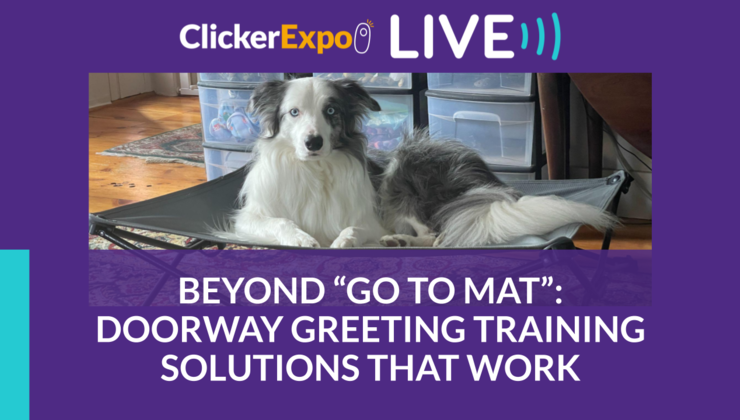 Beyond "Go to Mat": Doorway Greeting Training Solutions that Work ...