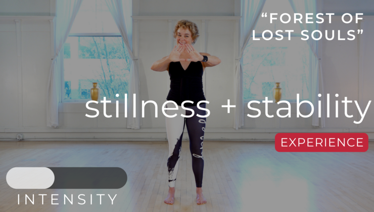 5 min Stillness + Stability | "Forest of Lost Souls" with...