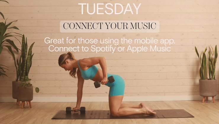 Fit with Coco Recharge Program - Upper Body Sculpt
