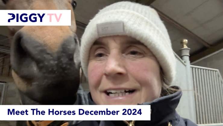Meet The Horses December 2024 | Piggy TV