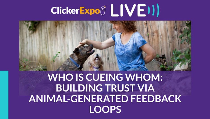 Who is Cueing Whom: Building Trust Via Animal-Generated Feedback Loops | Video on Demand by ...