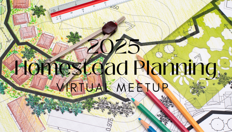 {Lady HS} 2025 Homestead Planning - Virtual Meeting