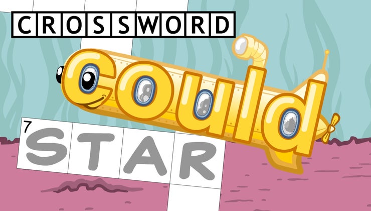 Crossword Puzzle | Meet the Sight Words Level 4 "could"