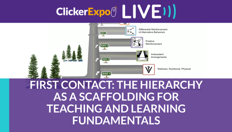 First Contact: The Hierarchy as a Scaffolding for Teaching and Learning Fundamentals | Video on ...