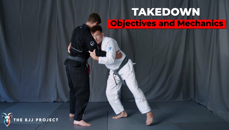 Takedowns - Objectives and Mechanics