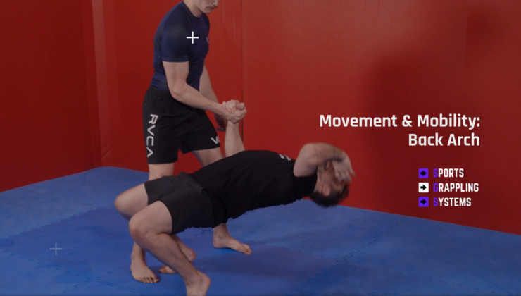 Back Mobility - Back Arches