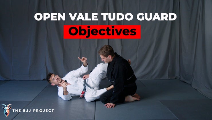 Open Vale Tudo Guard - Objectives