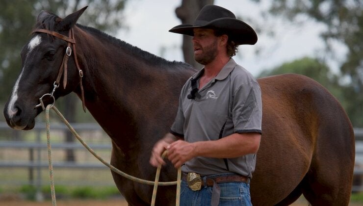 INTRODUCTION TO LONG REINING