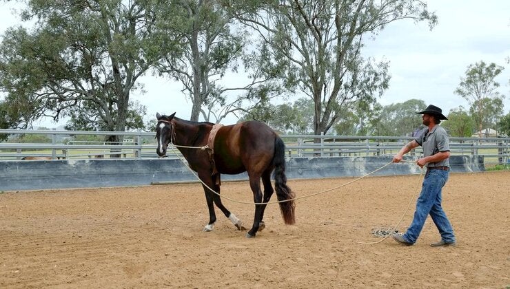 LATERAL FLEXION - LONG REINING