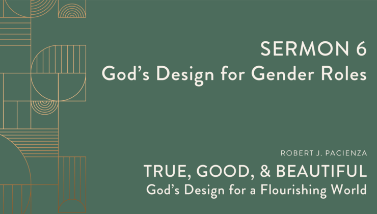 Sermon_6_gods_design_for_gender_roles