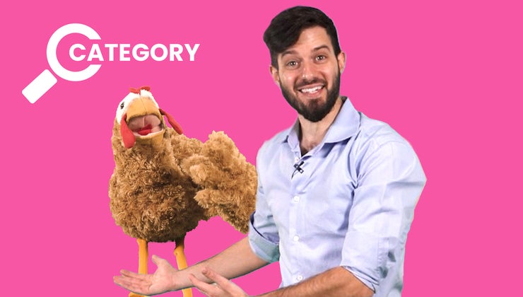 Tommar & Friends | Toveedo