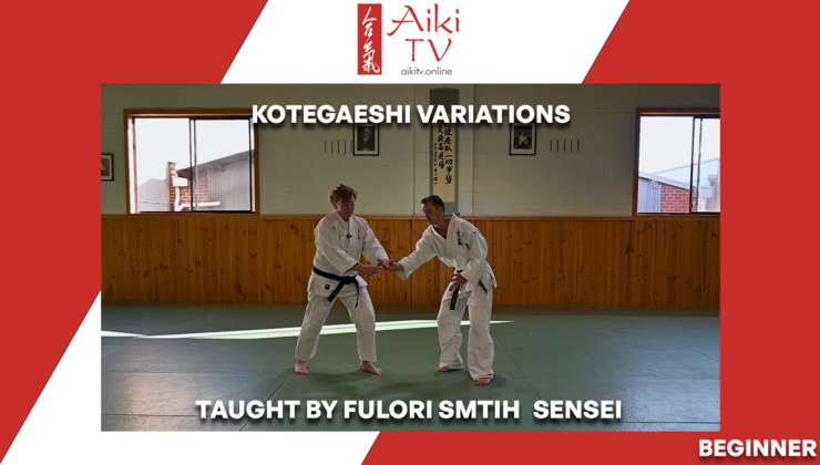 Kotegaeshi Variations Aikitv