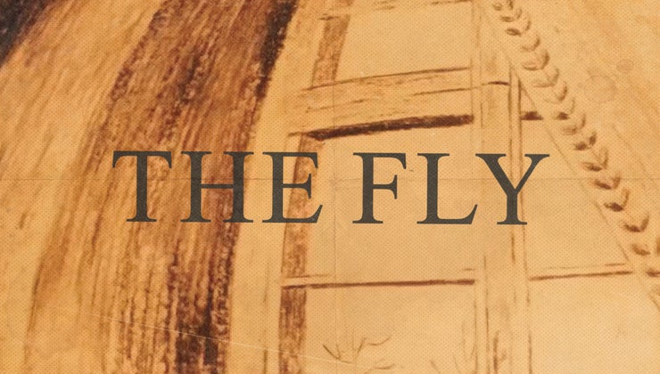 The Fly (1980)