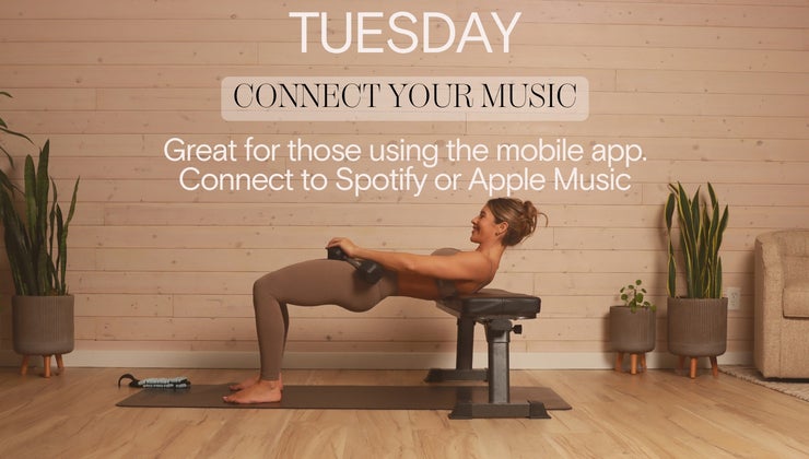 Fit with Coco Foundations Program - Lower Body Strength - Connect to ...