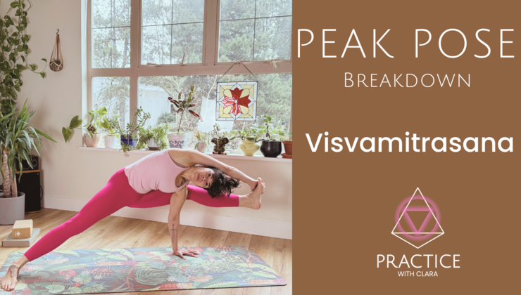 Peak Pose Breakdown - Visvamitrasana