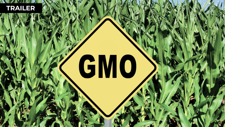 S1EP18 | Environmental Impacts Of GMO Tree Breeds Trailer