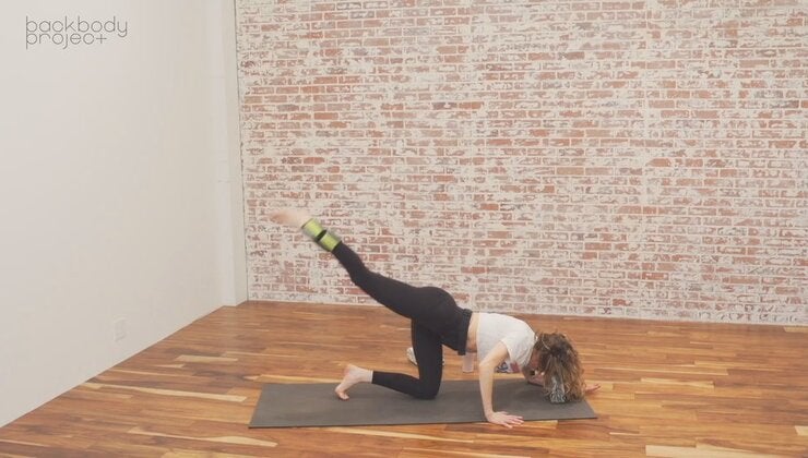 Evan Fixed 2_5_25 | Backbody Project