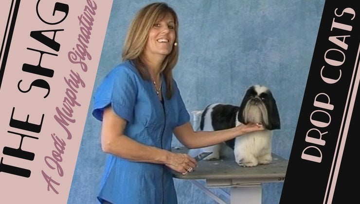 Jodi Murphy's Signature Shag Pet Trim Grooming Video | Jodi Murphy ...