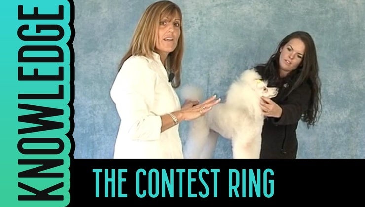 Jodi Murphy's Secrets of the Contest Ring Grooming Video | Jodi Murphy ...