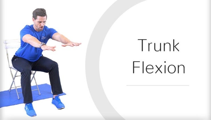 Trunk Flexion - (Wheelchair & Seated Series) | MS Workouts
