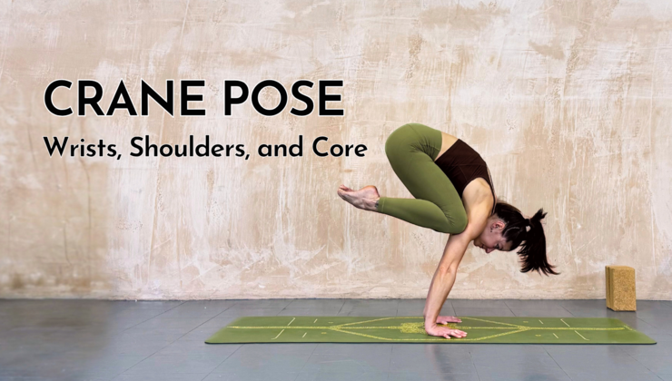Crane Pose - Wrists, Shoulders, Core
