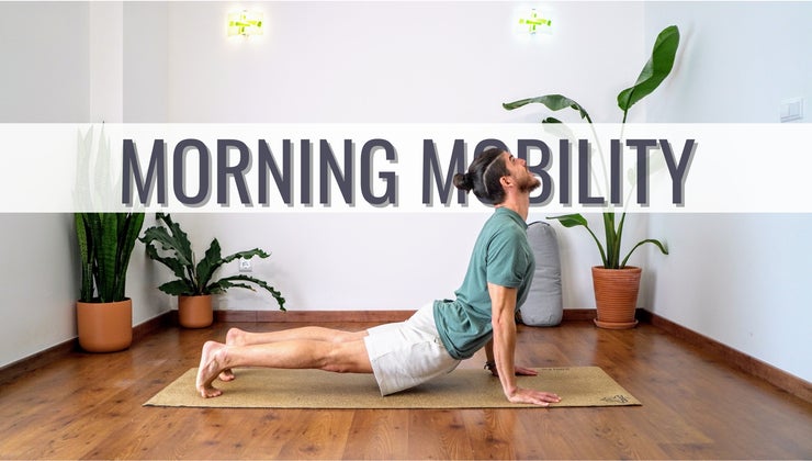 Morning Mobility • 31min Wake-Up Routine