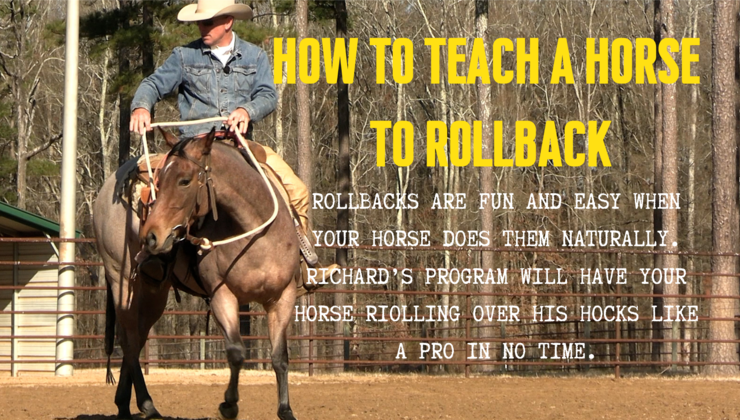 How to Teach a Horse to Rollback