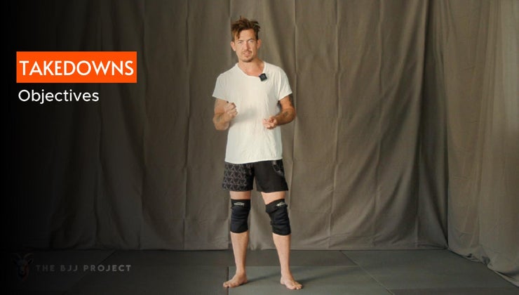 Standing and Takedown Foundations