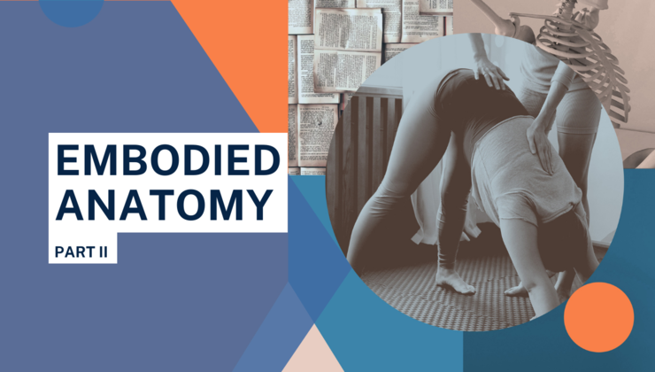 Embodied Anatomy (Part 2)