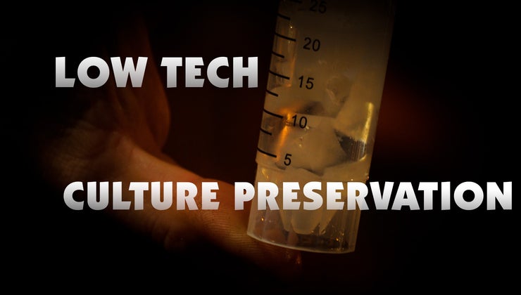 Low Tech Culture Preservation | MycoWizards