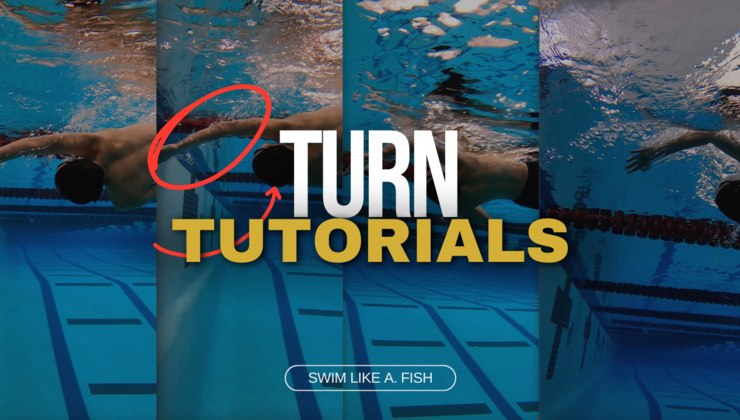 Turn Tutorials