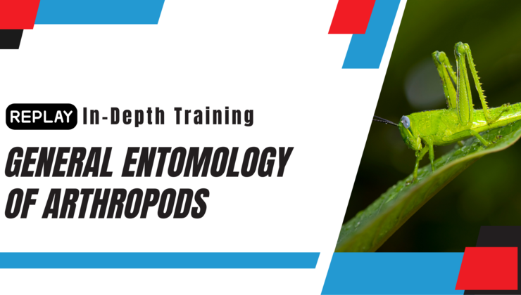 General Entomology of Arthropods