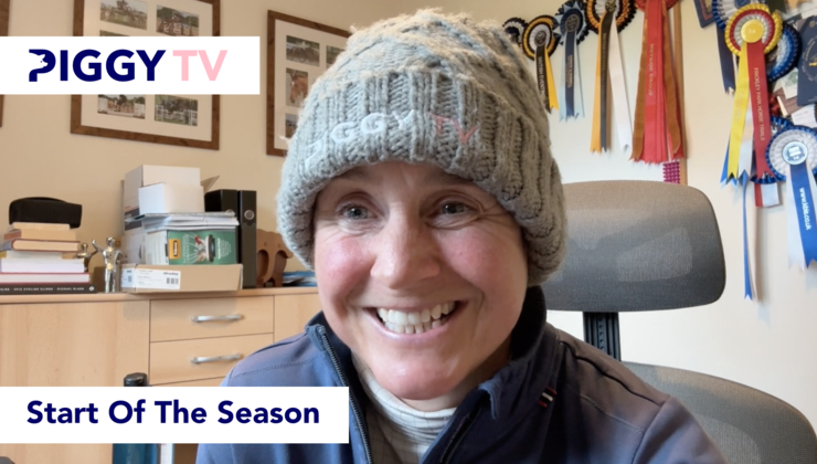 Start Of The Season | Piggy TV