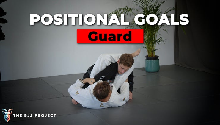 Positional Goals - Guard