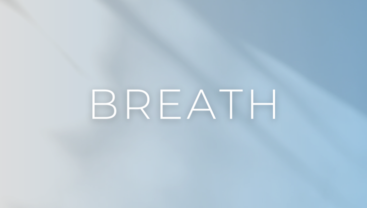 April Movement Calendar