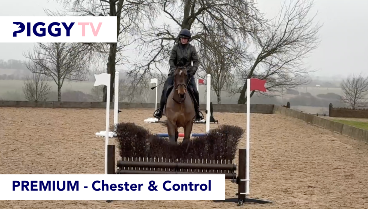 Chester & Control | Piggy TV