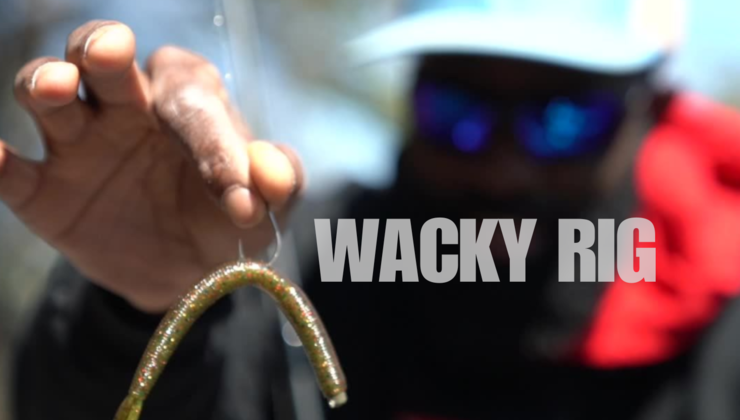 How to Fish a Wacky Rig