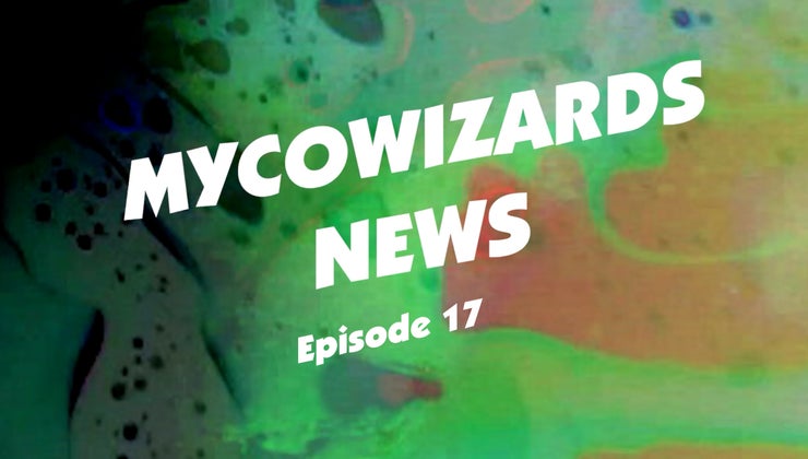 Ep17 | MycoWizards