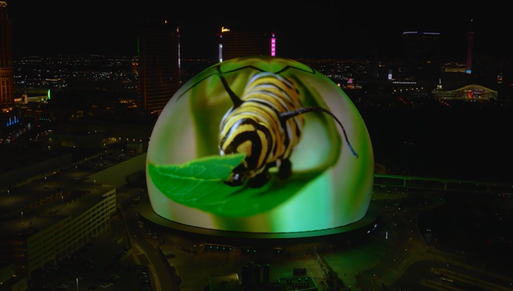Pollinators - Las Vegas Sphere