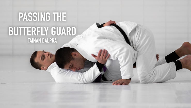 Passing the Butterfly Guard